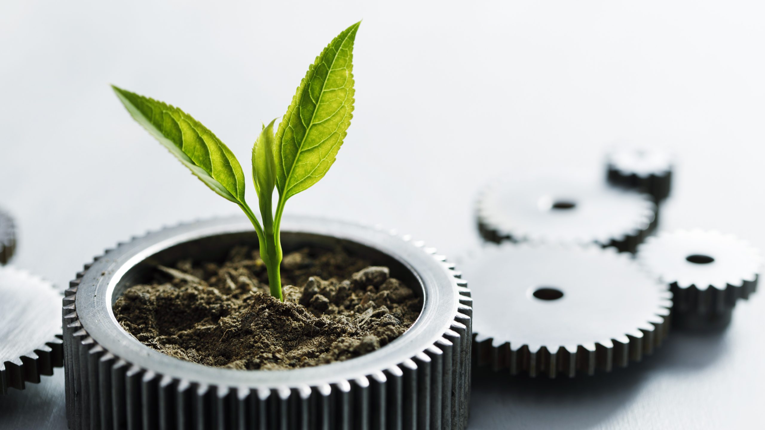 Hub de Plataformas de Países é lançado na COP30 com objetivo de ...